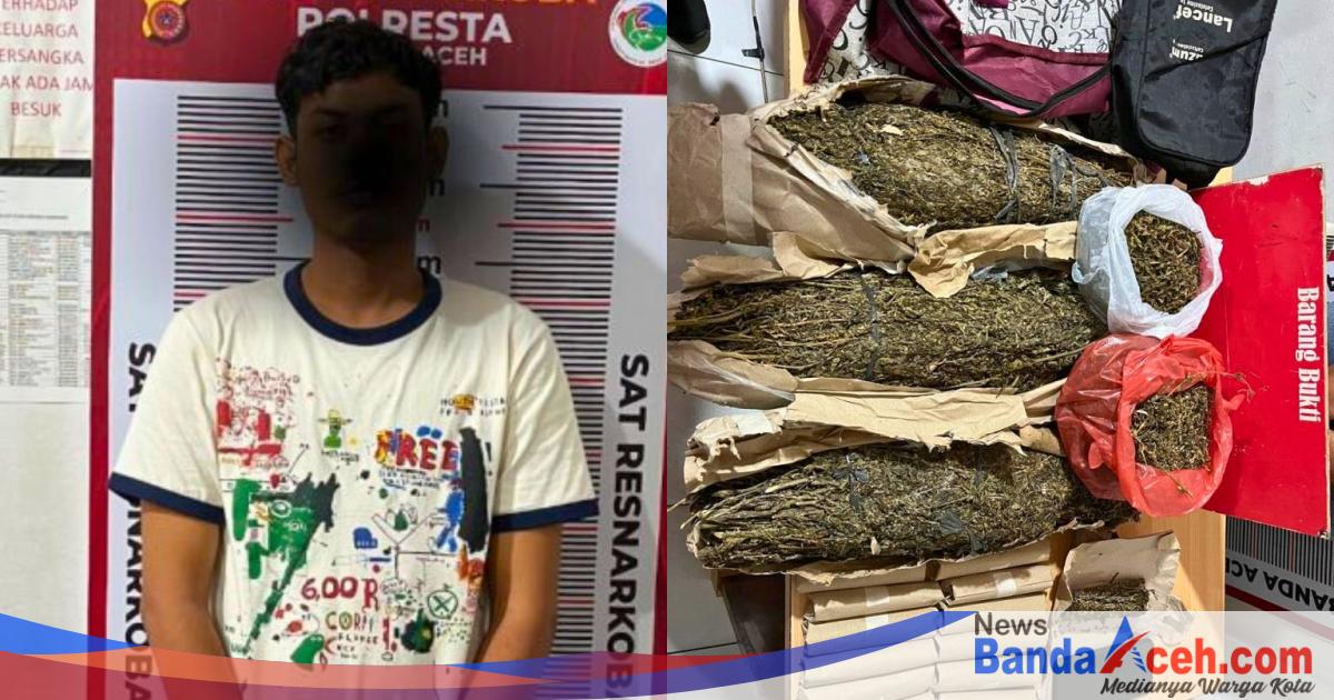 Satresnarkoba Polresta Banda Aceh Amankan 3,7 Kg Ganja dan Tersangka - News Banda Aceh